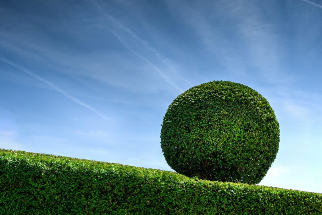 What is hedging language and why is it important? | Academic Marker