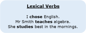 What are the thirteen types of English verb? | Academic Marker